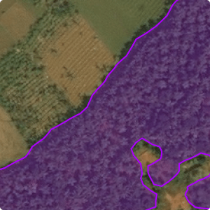 Optimize Farming Resources | Geospatial AI for Sustainable Agriculture | Deep Block